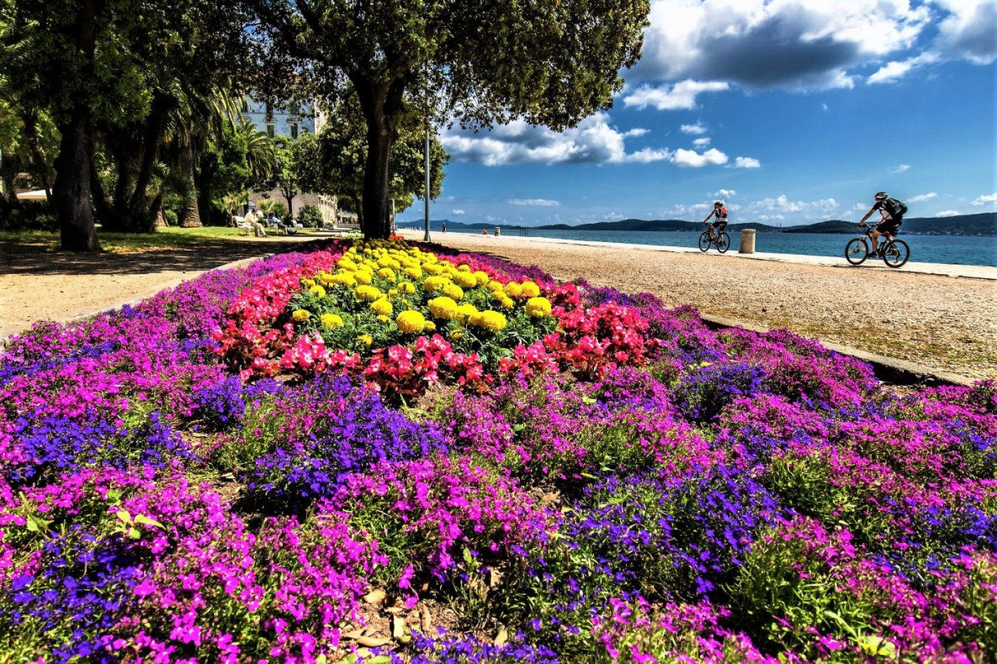 Zadar Seafront - Riva | Attractions | Zadar Tourist Board