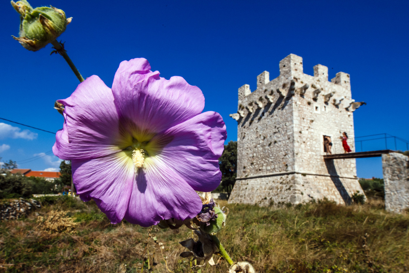 Olib | Archipelago | Explore | Zadar Tourist Board