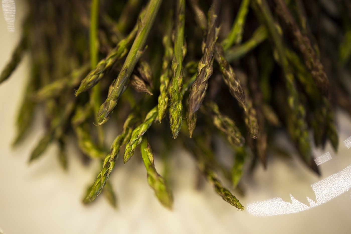 What to Eat in Zadar | 15 Dishes That MUST be Enjoyed | Part 2 | News ...