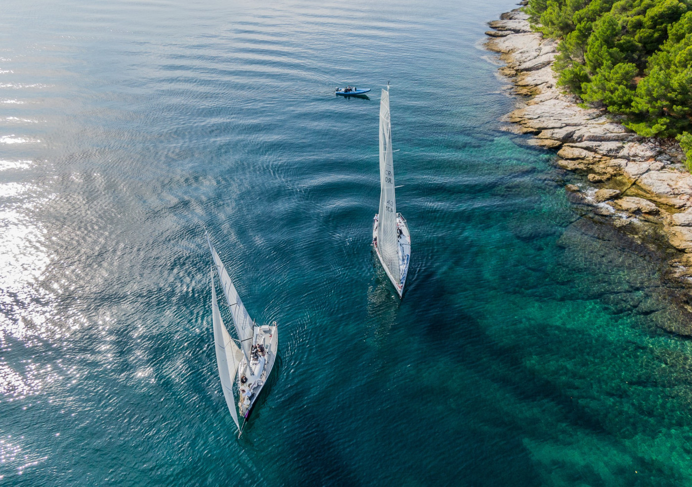 Regatta Zadarska Koka 2025 | Veranstaltungen | Tourismusverband von Zadar